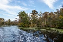 What is Virginia Known for? 37+ Things Virginia is Famous For