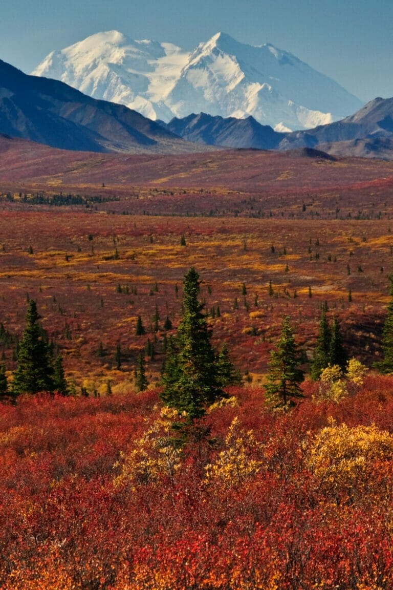 25 Cool Things Alaska is Known for (+ Famous For!)