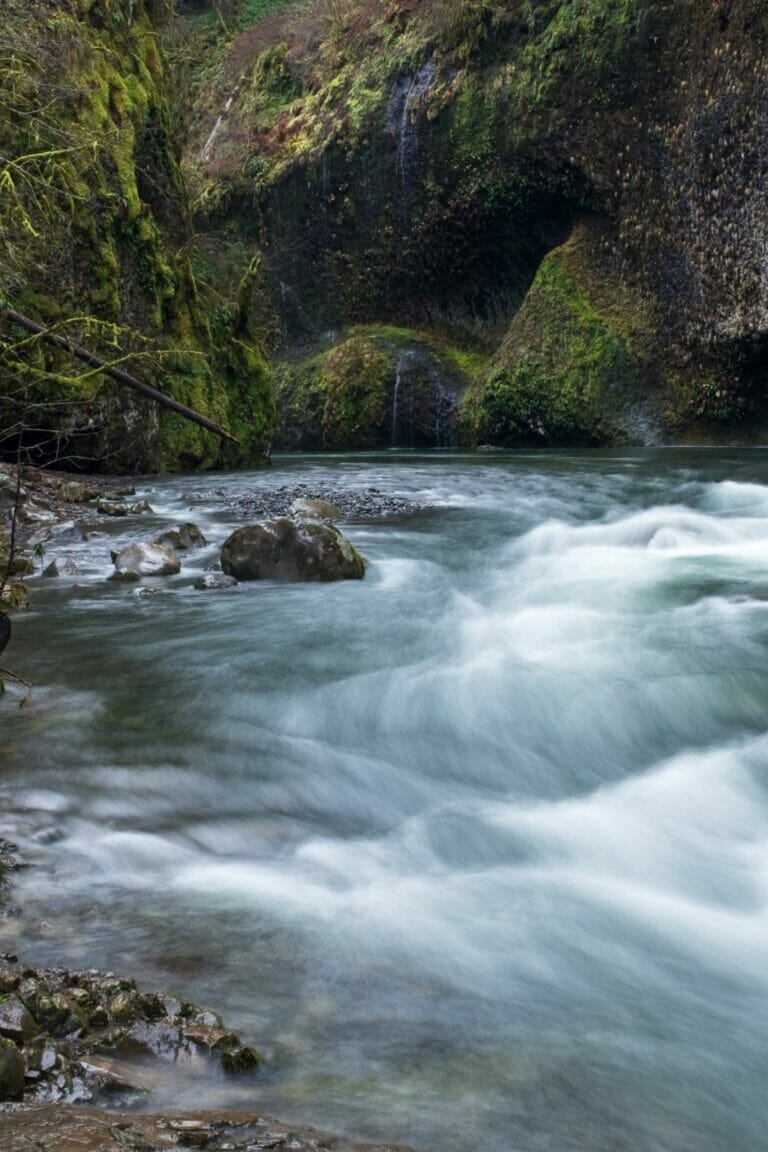 29 Cool Things Oregon is Known For (+ Famous For)