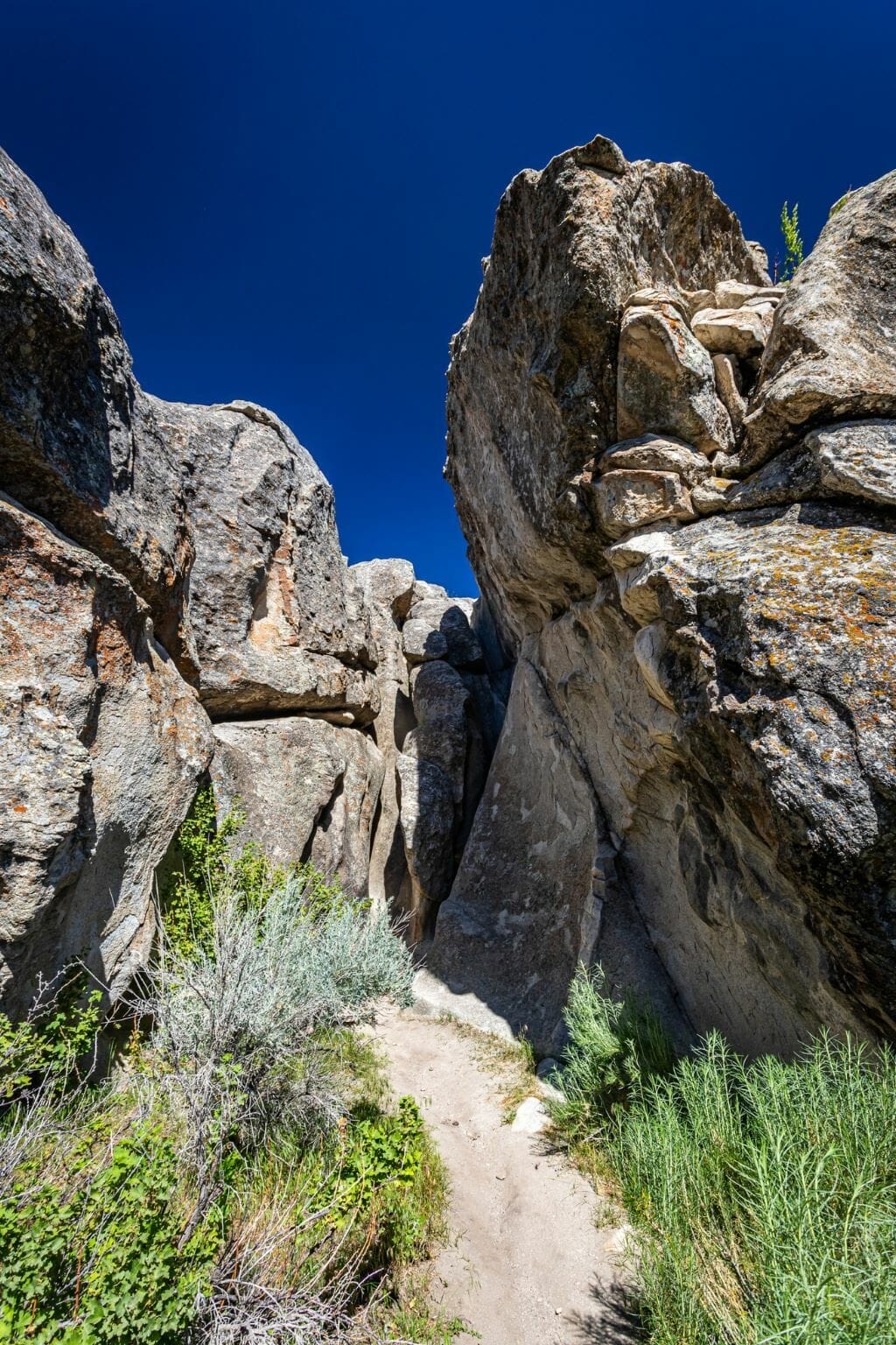 29 Cool Things Oregon is Known For (+ Famous For)
