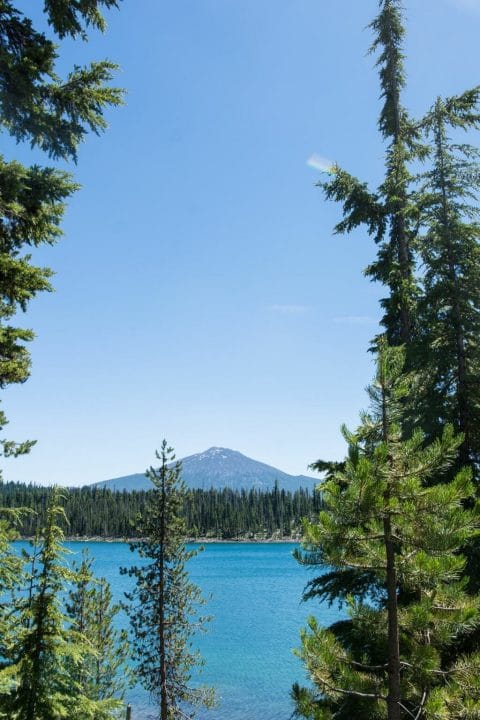 29 Cool Things Oregon is Known For (+ Famous For)