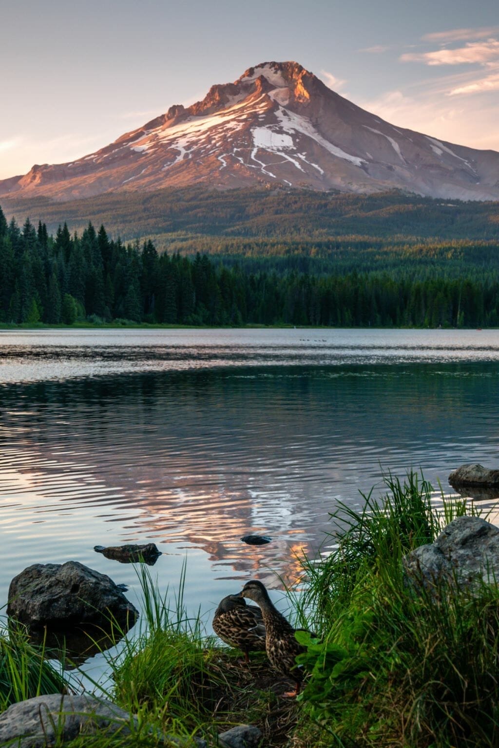 29 Cool Things Oregon is Known For (+ Famous For)