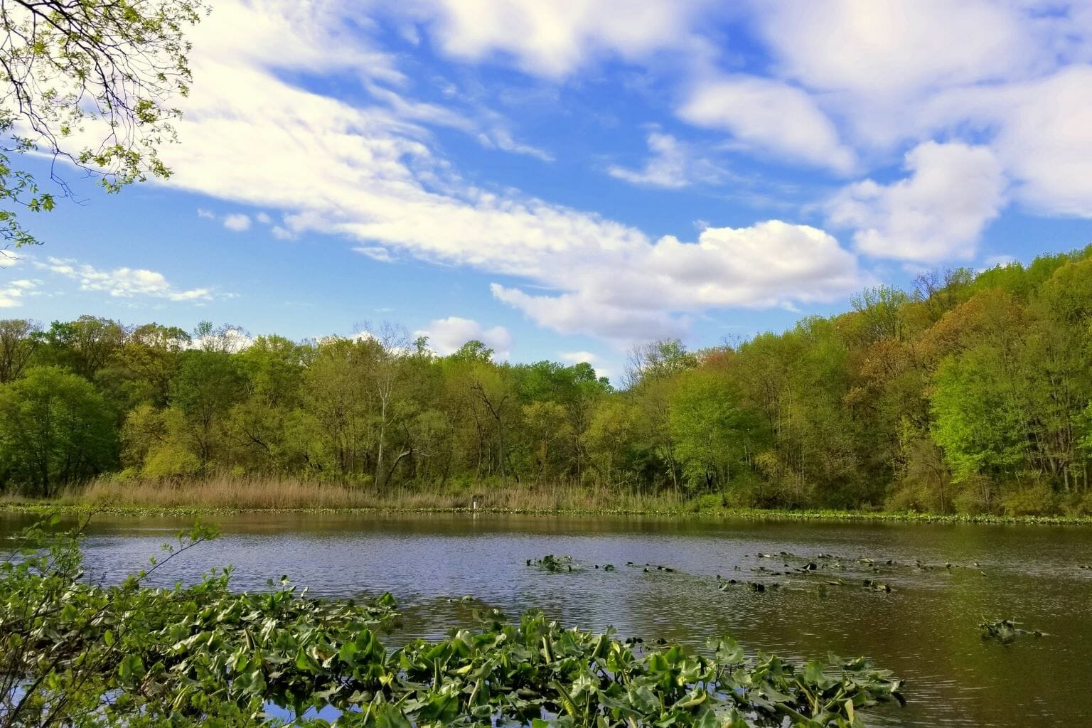 37 Cool Things Delaware is Known For (+ Famous For)