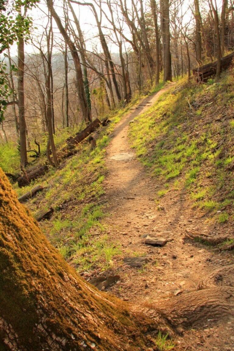 29 Cool Things Pennsylvania is Known For (+ Famous For)