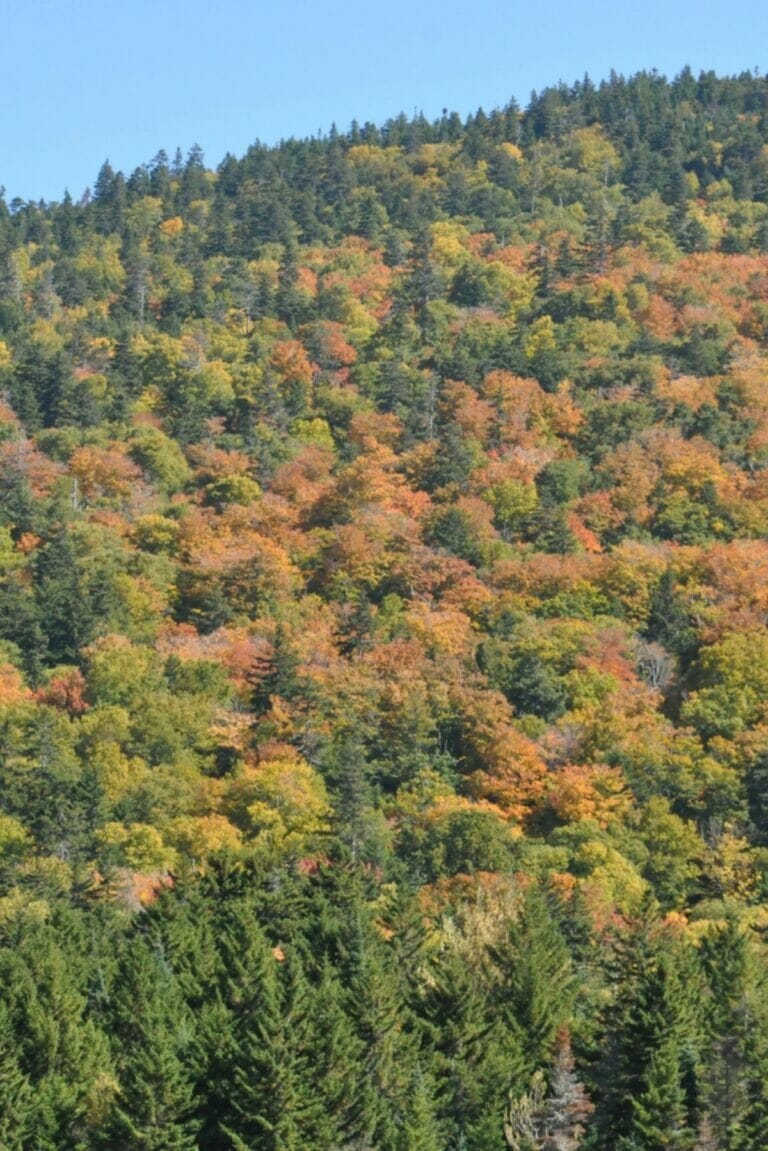 23 Interesting Things New Hampshire is Known For (+ Famous For)
