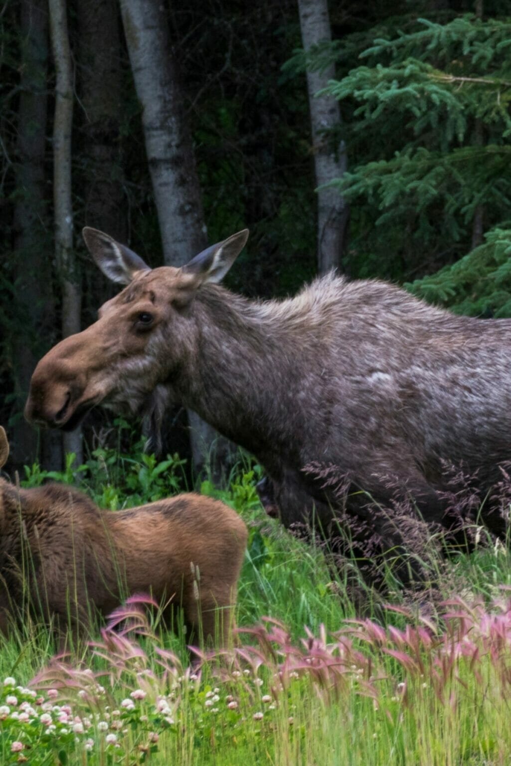 23 Interesting Things New Hampshire is Known For (+ Famous For)
