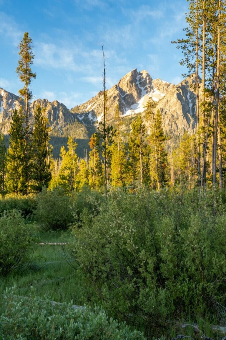 25 Awesome Things Idaho is Known For (+ Famous For)