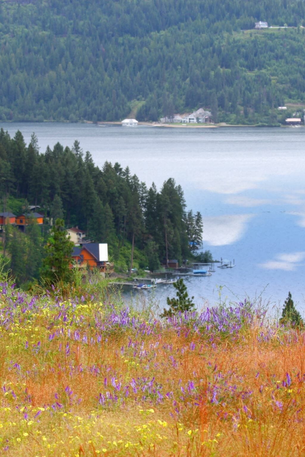 25 Awesome Things Idaho is Known For (+ Famous For)