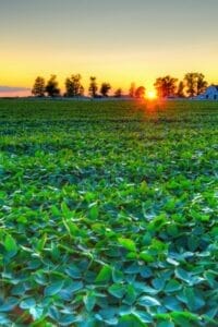 29 Cool Things Indiana is Known For (+ Famous For)