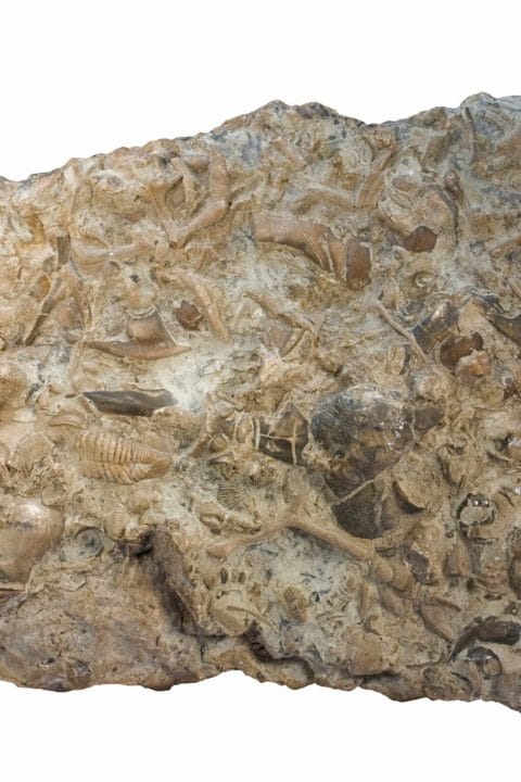 29 Cool Things Indiana is Known For (+ Famous For)