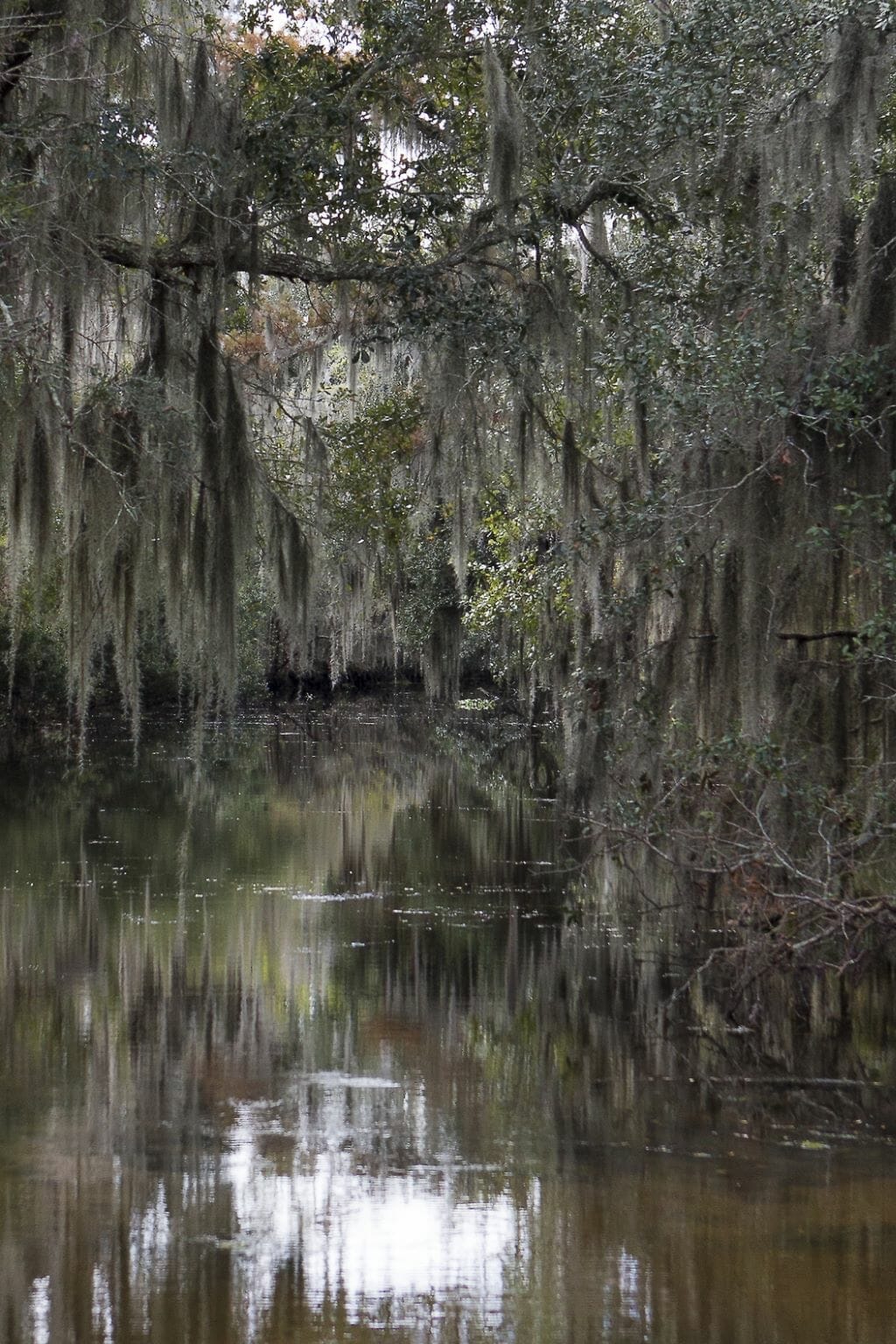 33 Interesting Things Louisiana is Known For (+ Famous For)