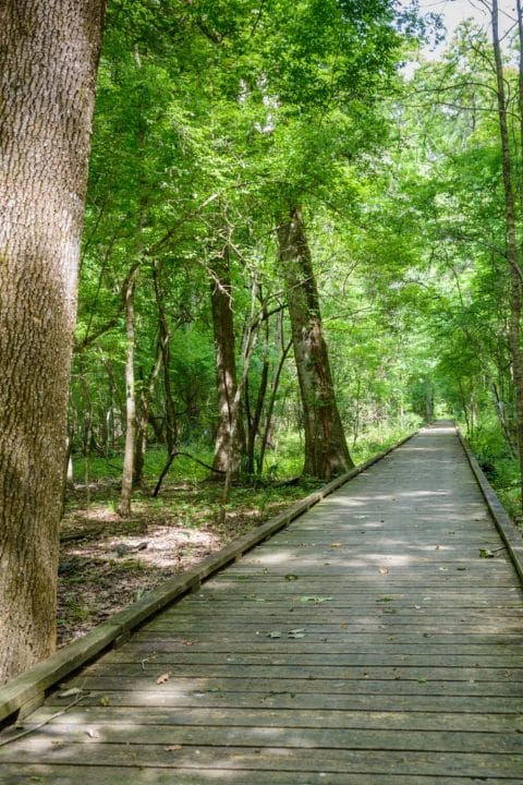 33 Interesting Things Louisiana is Known For (+ Famous For)