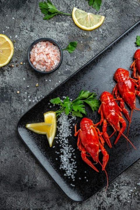 37 Cool Things Maine is Known For (+ Famous For)