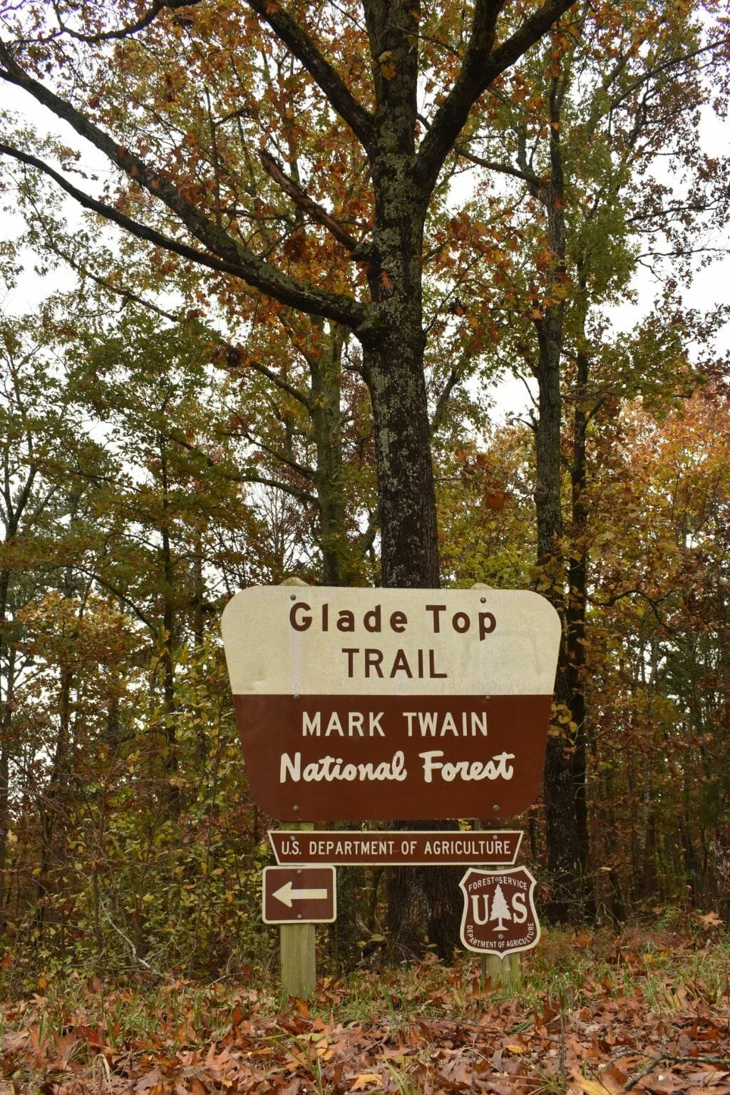 29 Cool Things Missouri is Known For (+ Famous For)