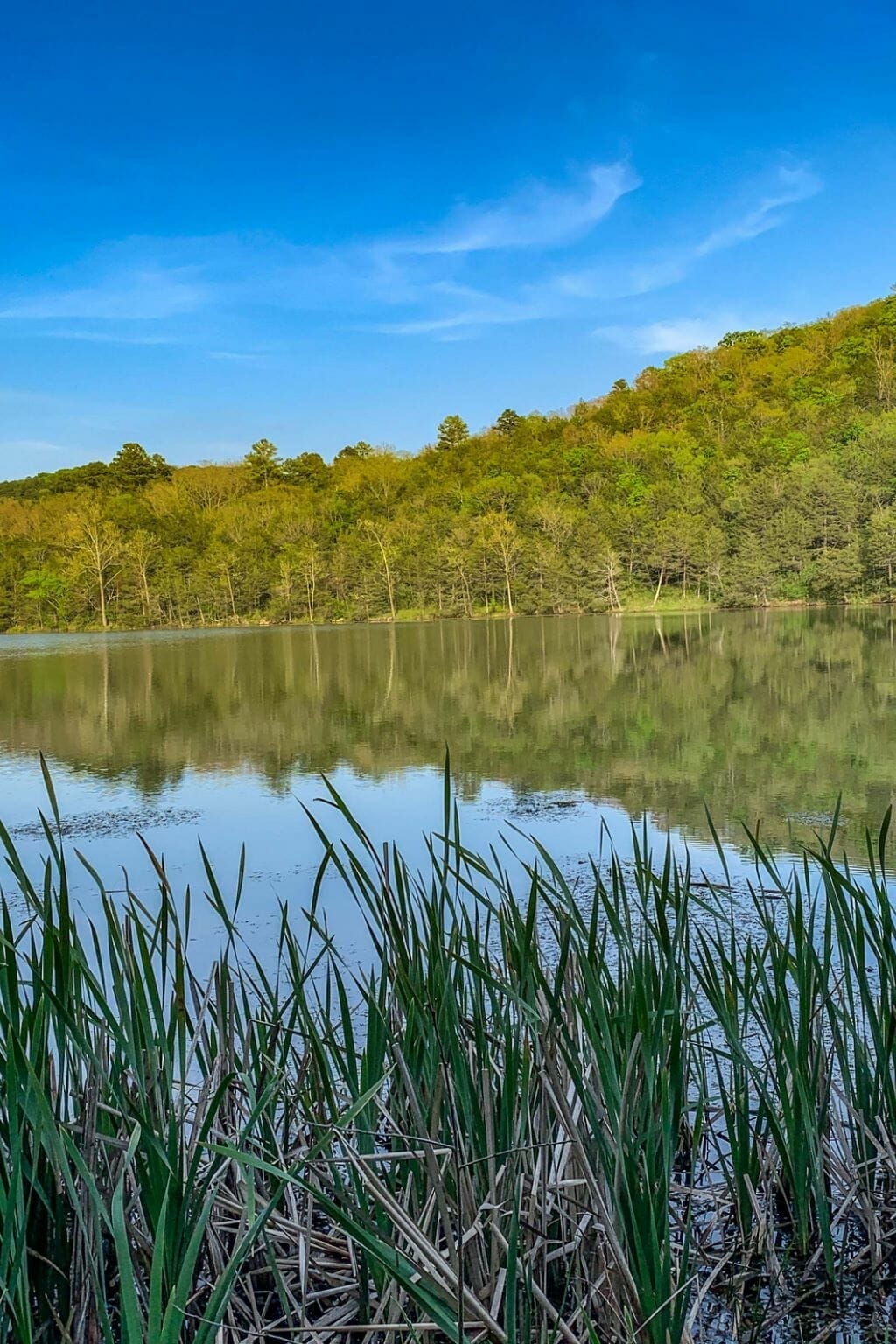 29 Cool Things Missouri is Known For (+ Famous For)