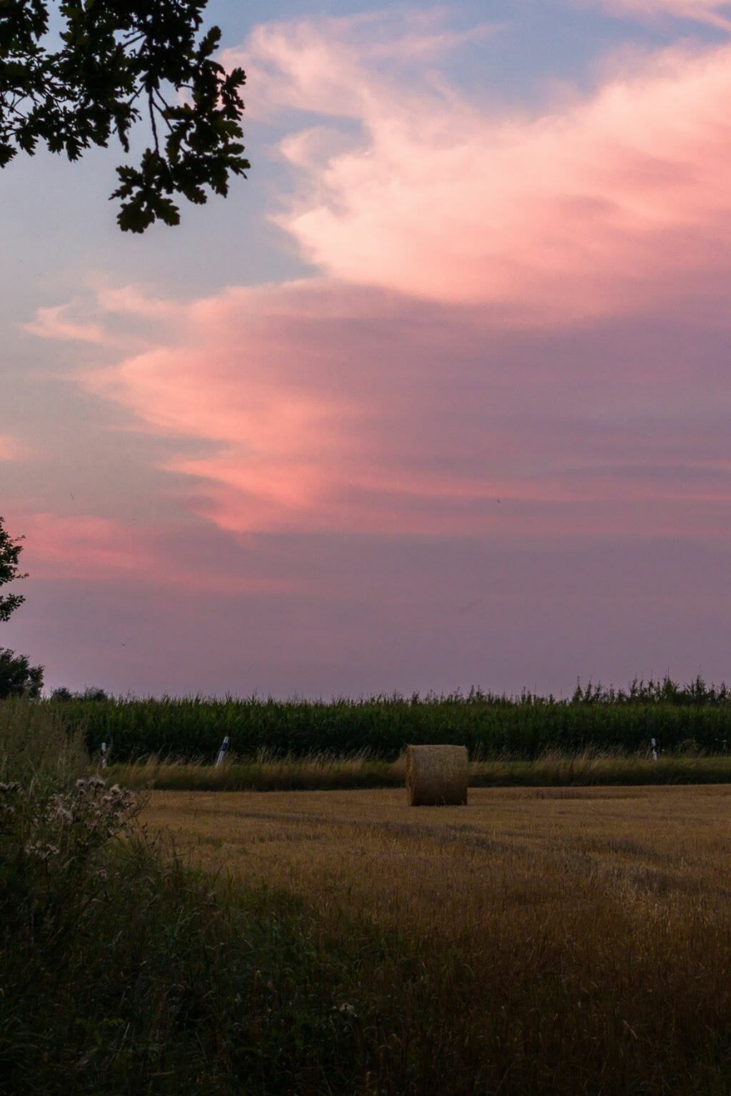 29 Interesting Things Nebraska is Known For (+ Famous For)