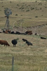 29 Interesting Things Nebraska is Known For (+ Famous For)