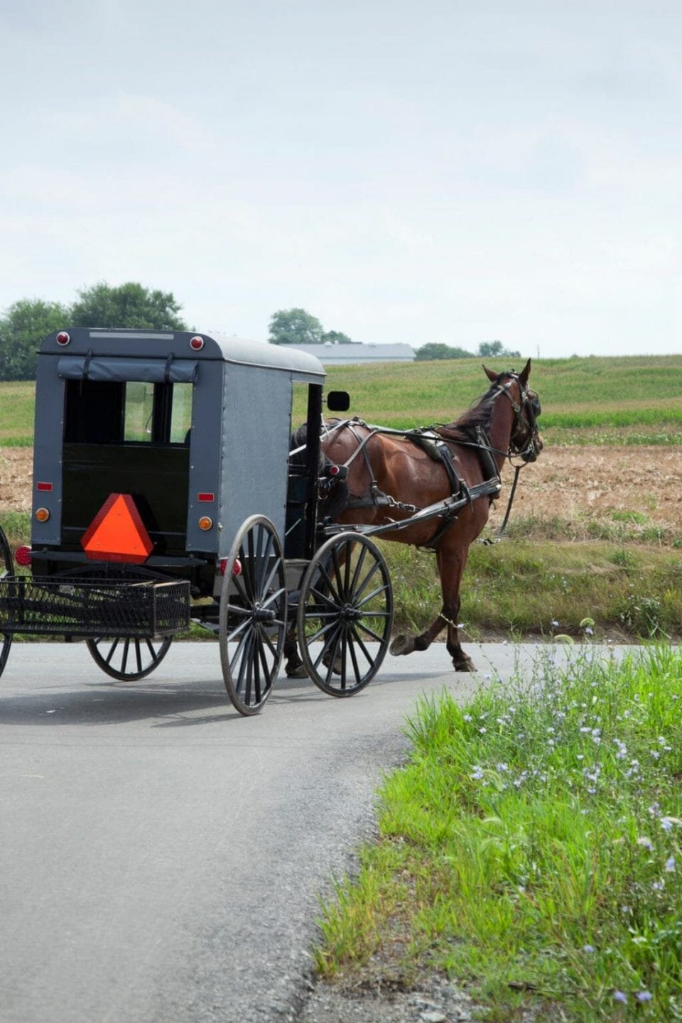 29 Interesting Things Iowa is Known For (+ Famous For)