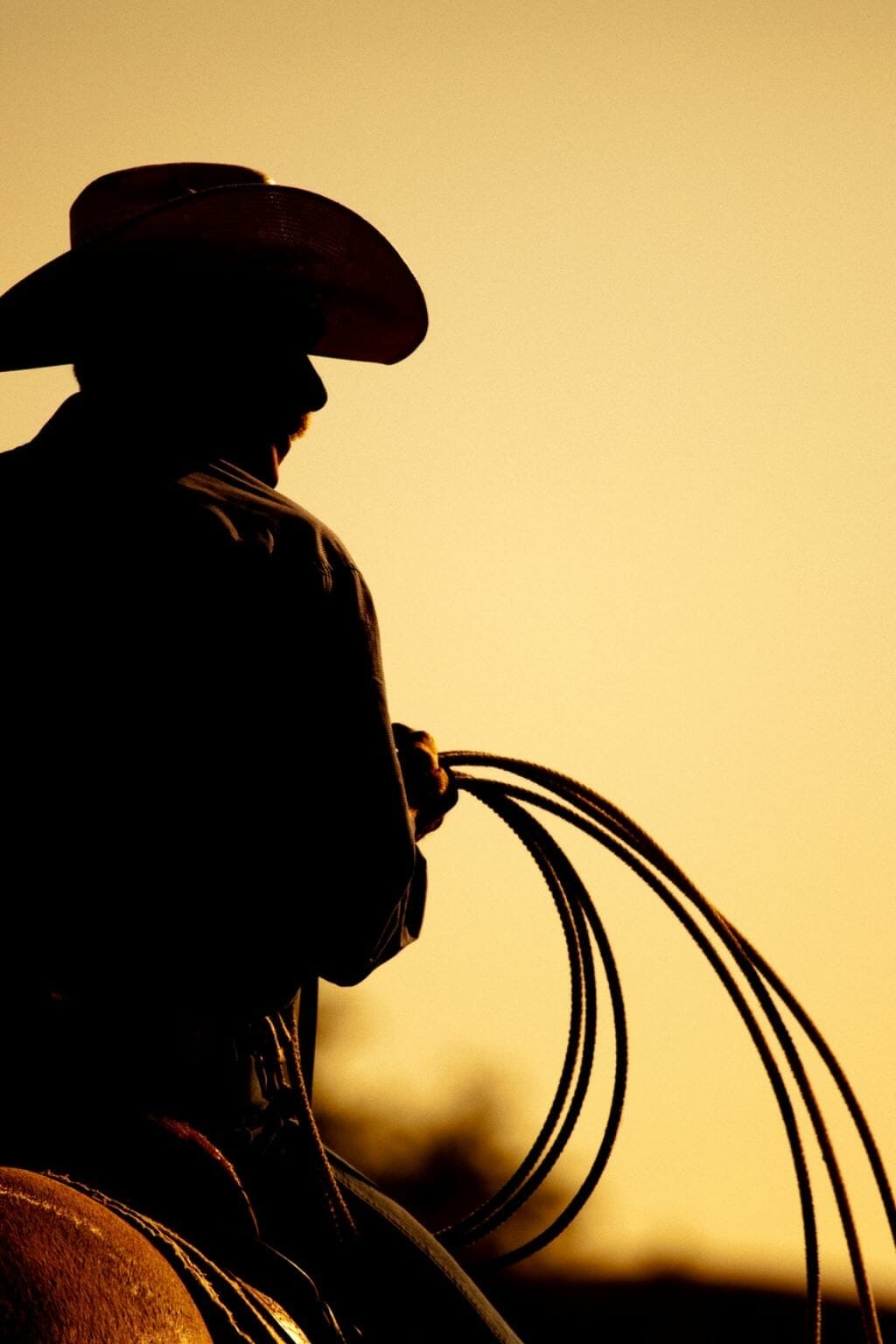 25 Interesting Things Kansas is Known For (+ Famous For)