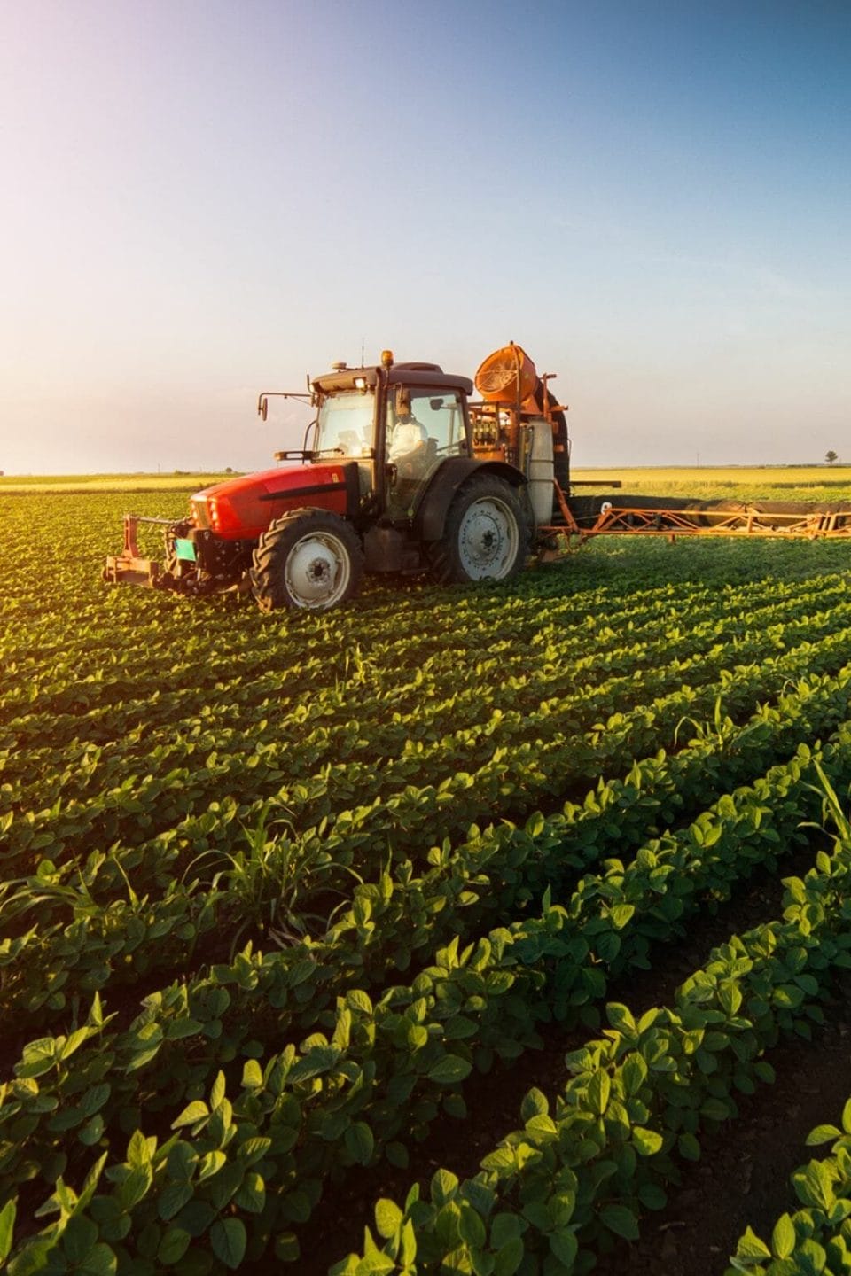 25 Interesting Things Kansas is Known For (+ Famous For)