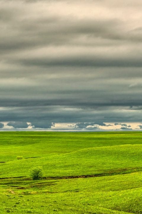 25 Interesting Things Kansas is Known For (+ Famous For)