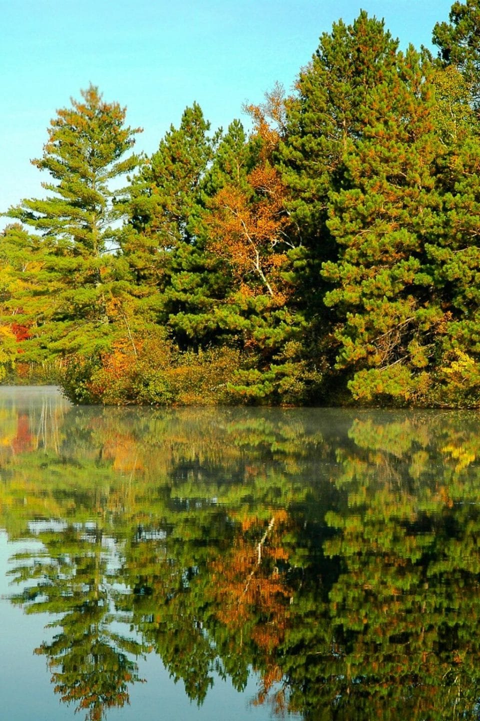 33 Cool Things Minnesota is Known For (+ Famous For)