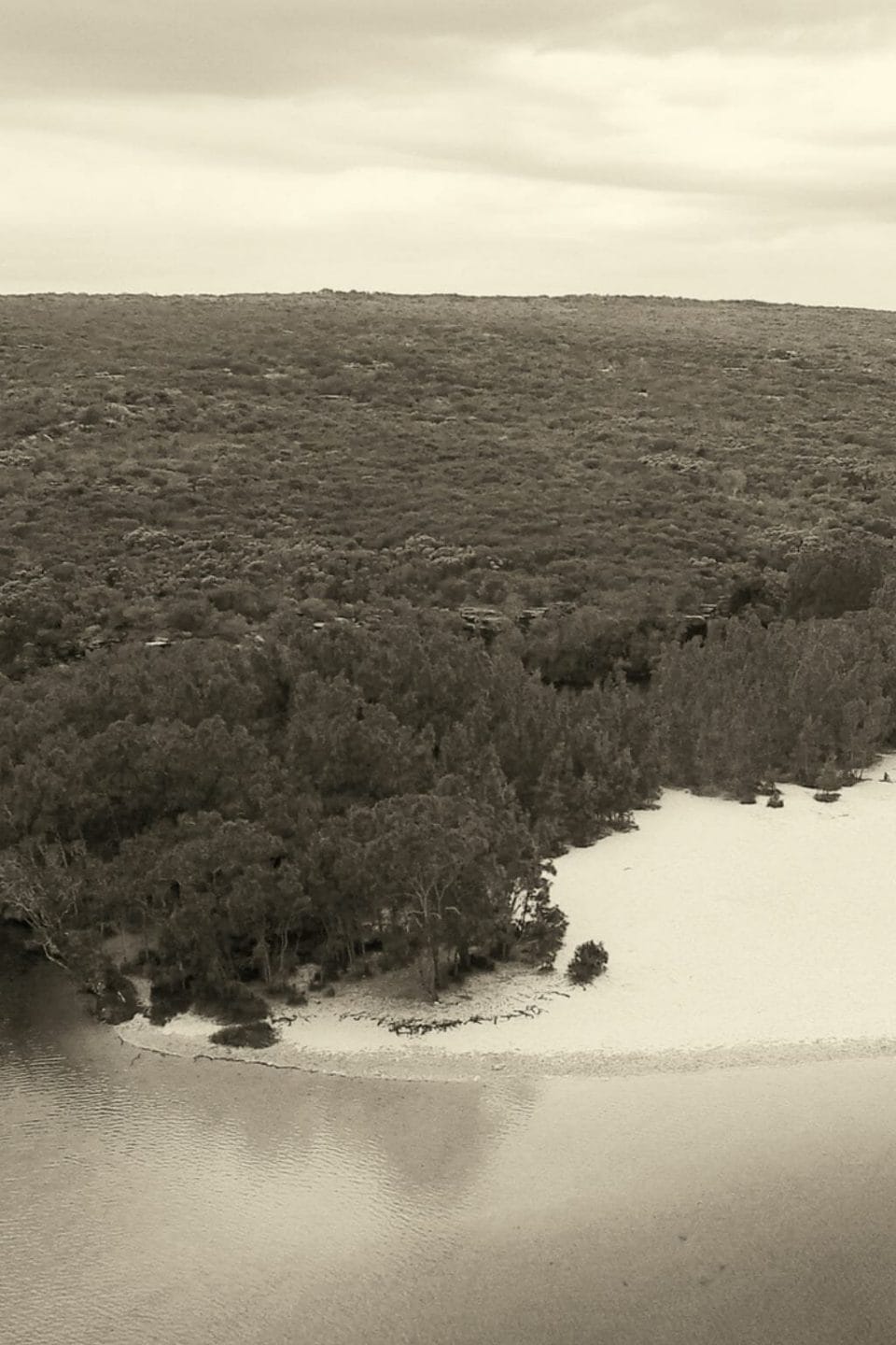 31 Cool Things Michigan is Known For (+ Famous For)